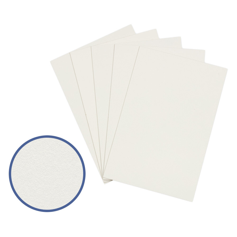 VISTA-ARTISTA картон грунтованный для художественных работ, набор 6 штук 20 х 40 см, Белый GRK-2040