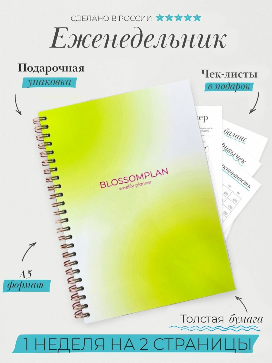 Планер Ежедневник 2024 А5 недатированный