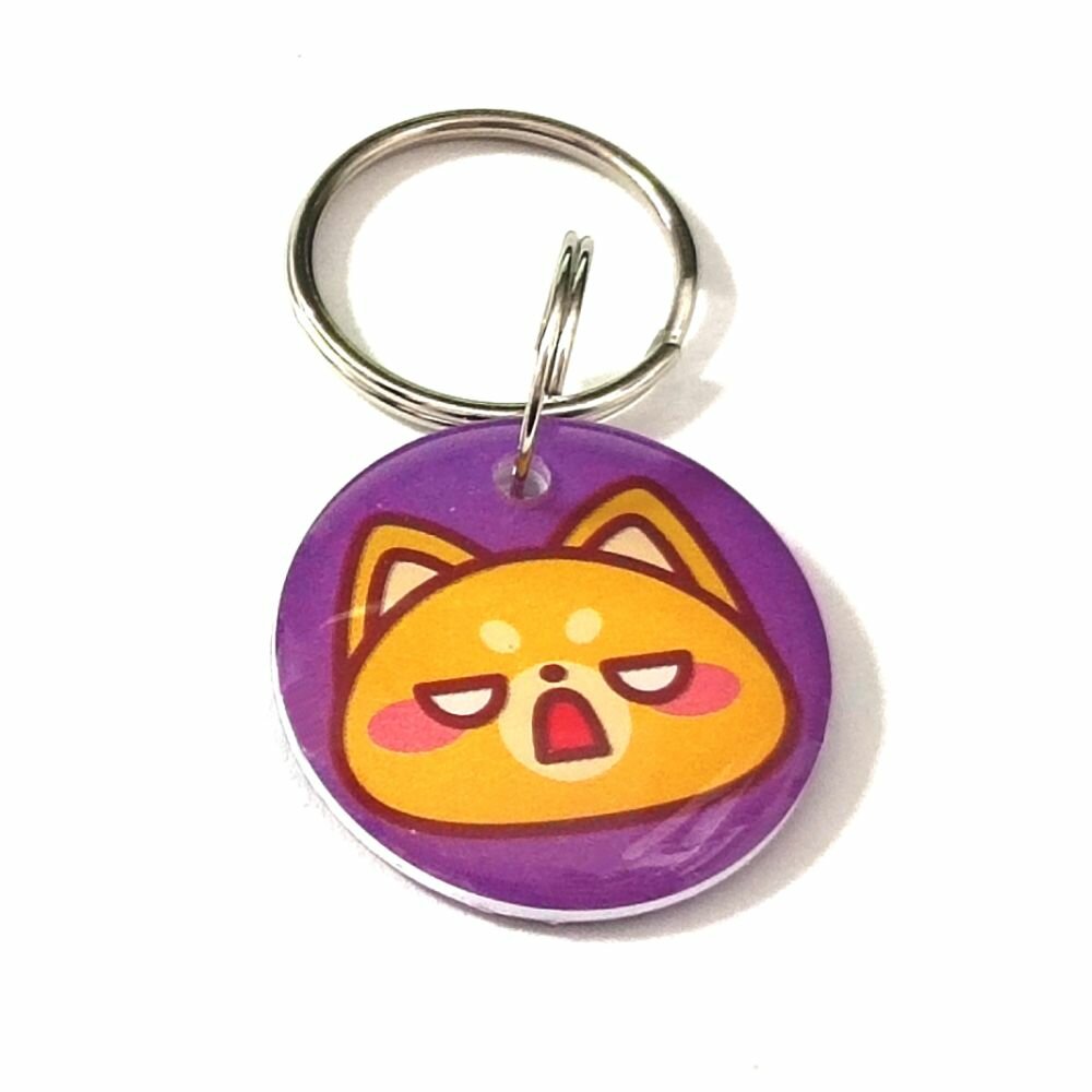 Ключ-брелок для домофона с классным изображением (перезаписываемый), T5577 EM4305, 125 кГц