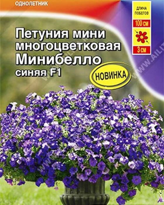 Петуния мини Минибелло F1 синяя многоцветковая