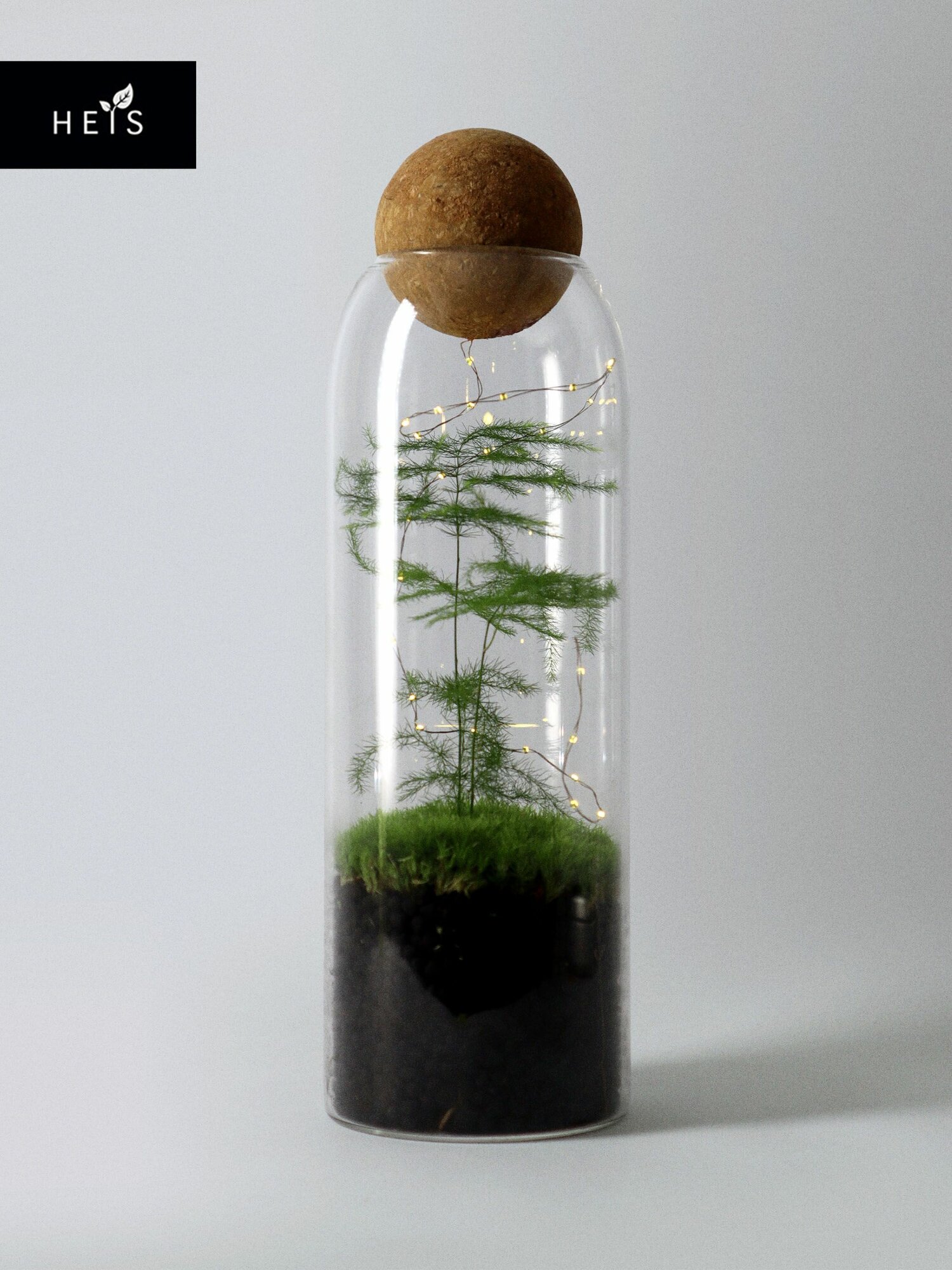 Новогодний Флорариум стеклянный / экосистемы HEIS / Аспарагус Classic S