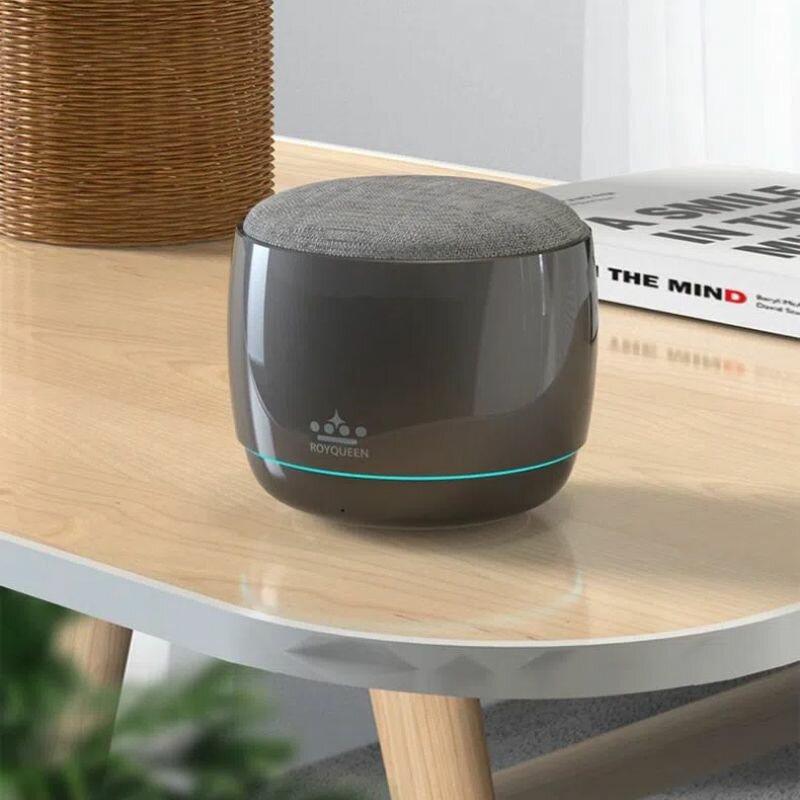 Беспроводной динамик Bluetooth аудио портативная карта TF сабвуфер mini FM-радио