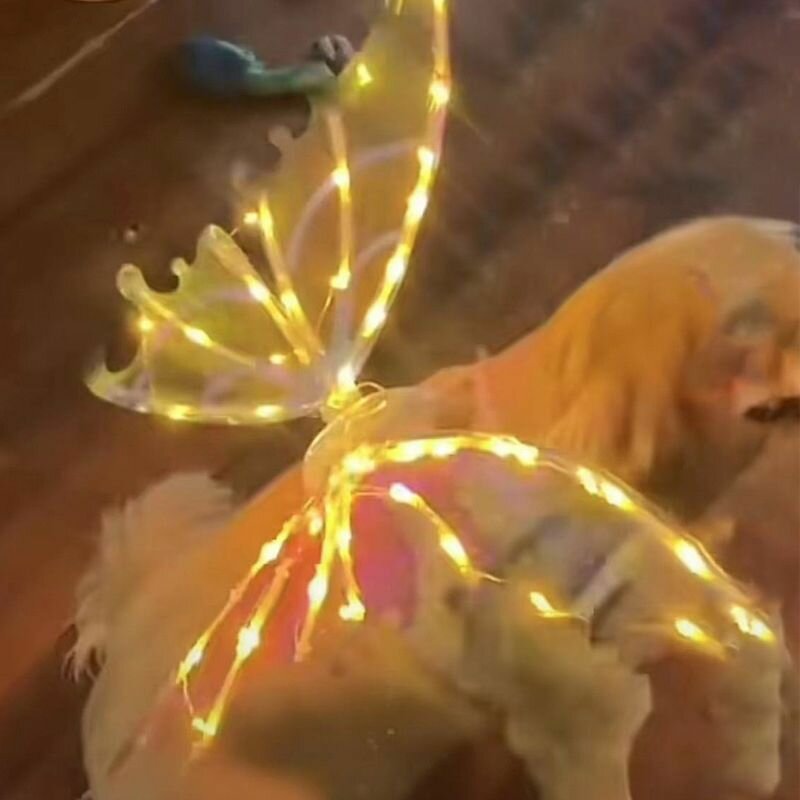 Light Up Wings для собак, электрические светящиеся крылья феи, музыкальная бабочка со светодиодными гирляндами