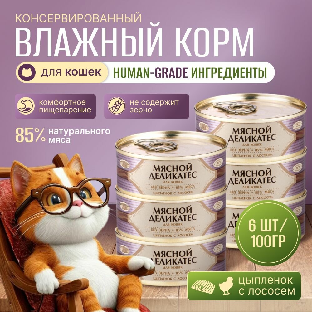 Yummy Мясной Деликатес Влажный корм для кошек Цыпленок/лосось, 100 г. * 6 шт.