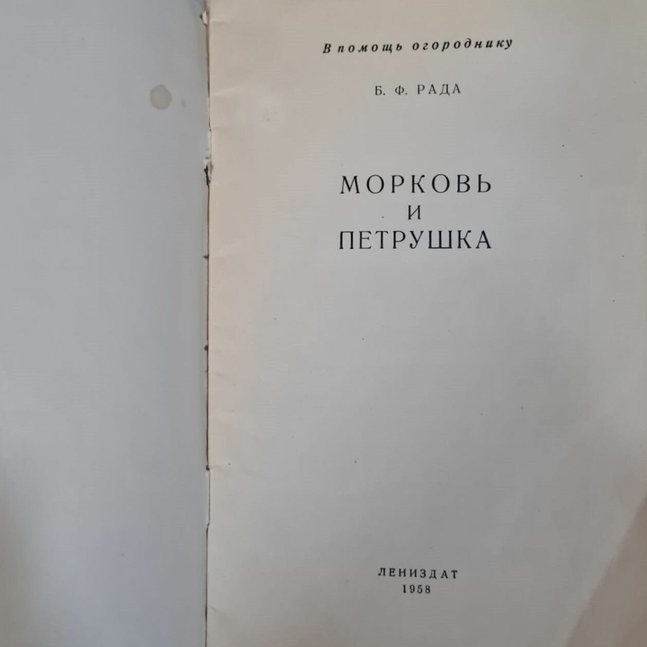Морковь и петрушка — фото 1