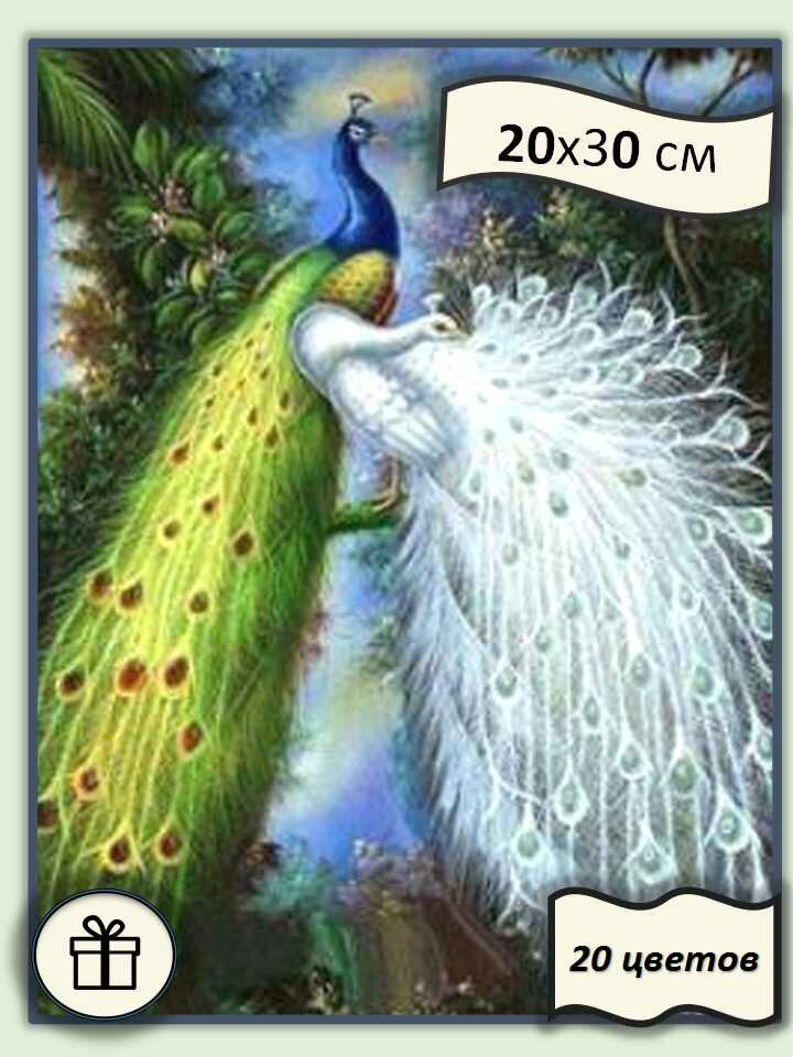 Алмазная мозаика "Белый и зелёный павлины", 20x30 см, на подрамнике, полная выкладка, 20 цветов