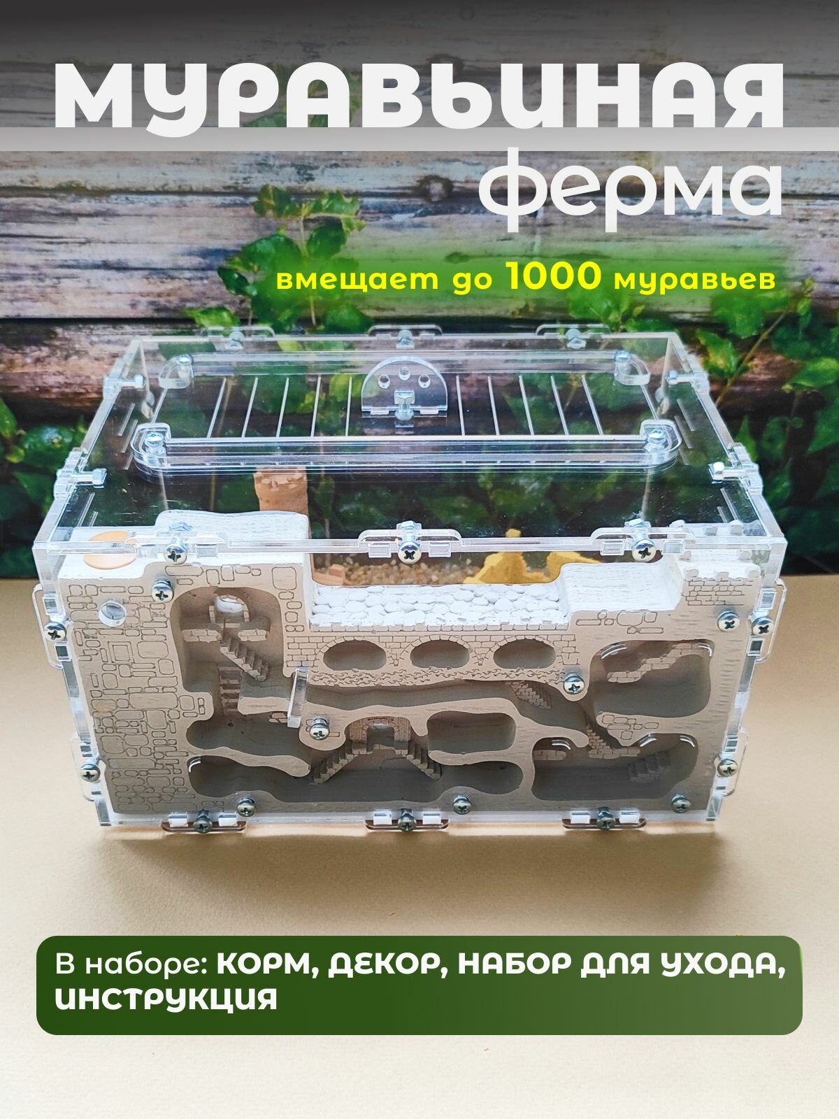 Муравьиная ферма