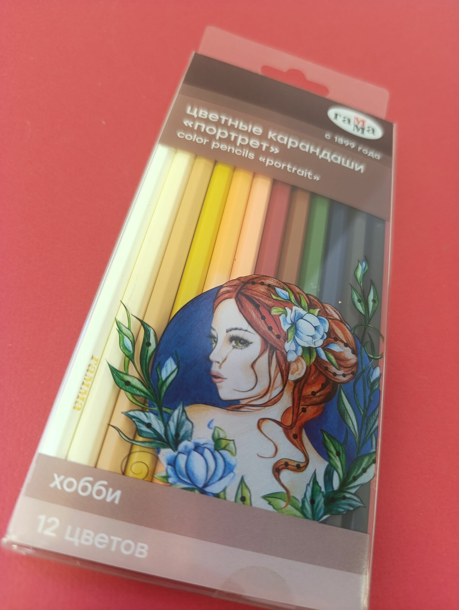 Набор карандашей "Портрет" 12 цветов Гамма