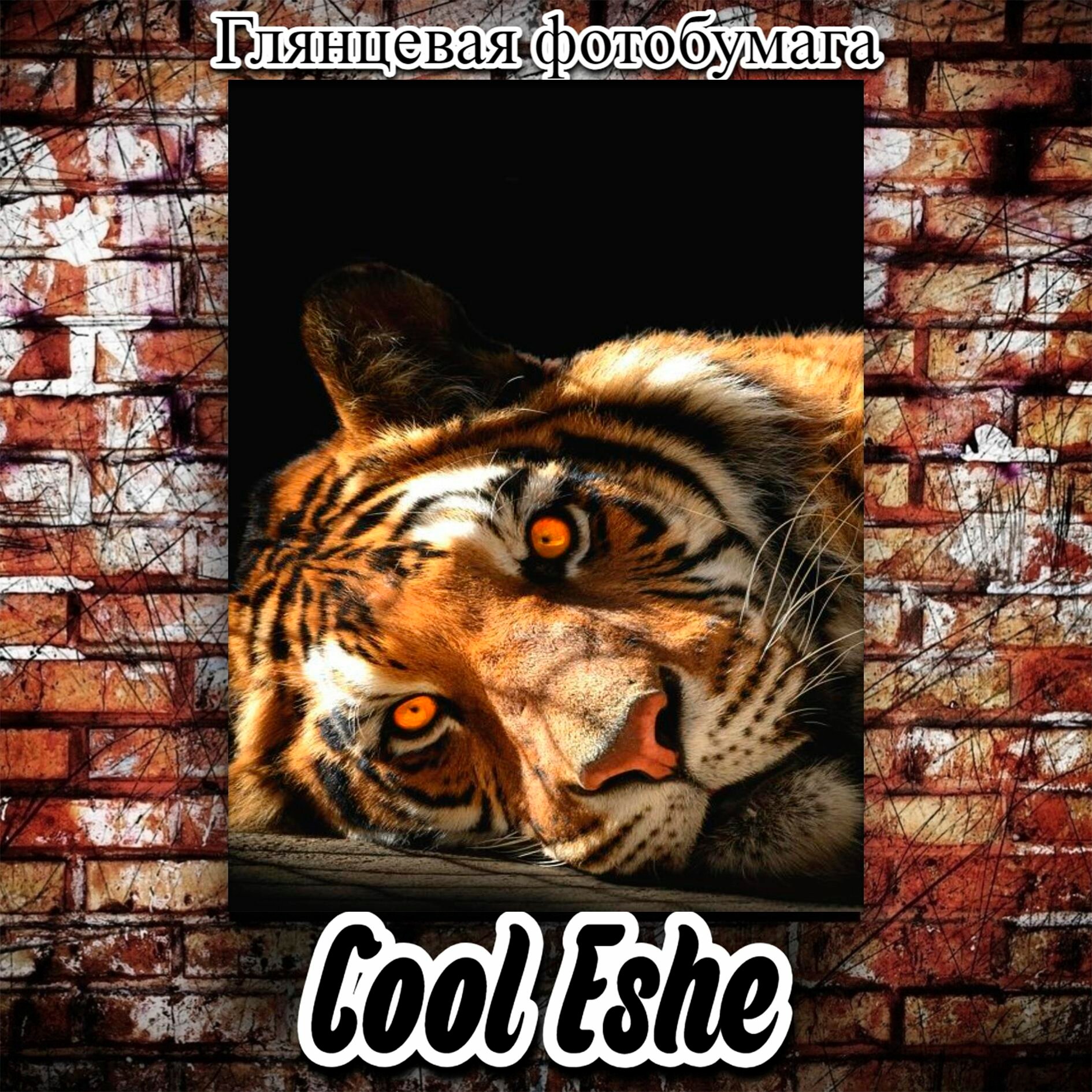 Постер " Морда тигра, черный фон, светящиеся глаза" из коллекции "Животные" А4