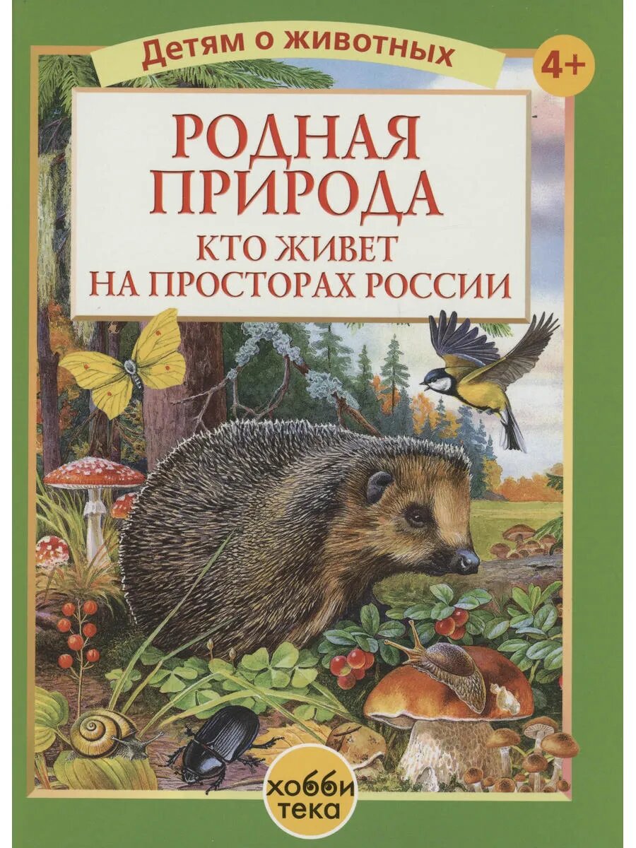 Родная природа. Кто живёт на просторах России