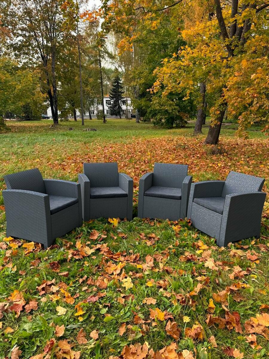 Комплект садовых кресел Royal Family LANA (4 шт.) из пластика, графит