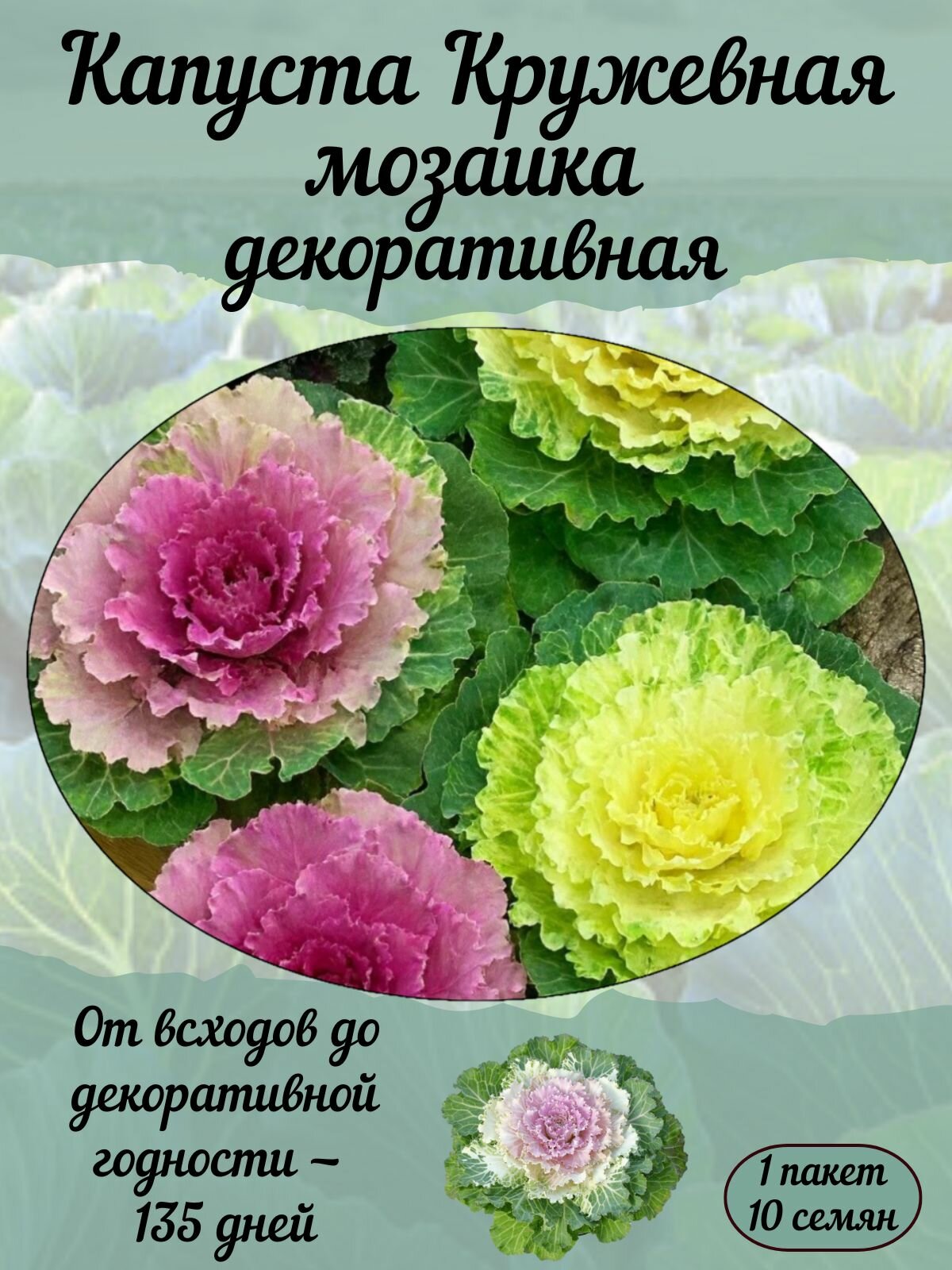 Капуста Кружевная мозаика декоративная, 10 шт, 15 гр.