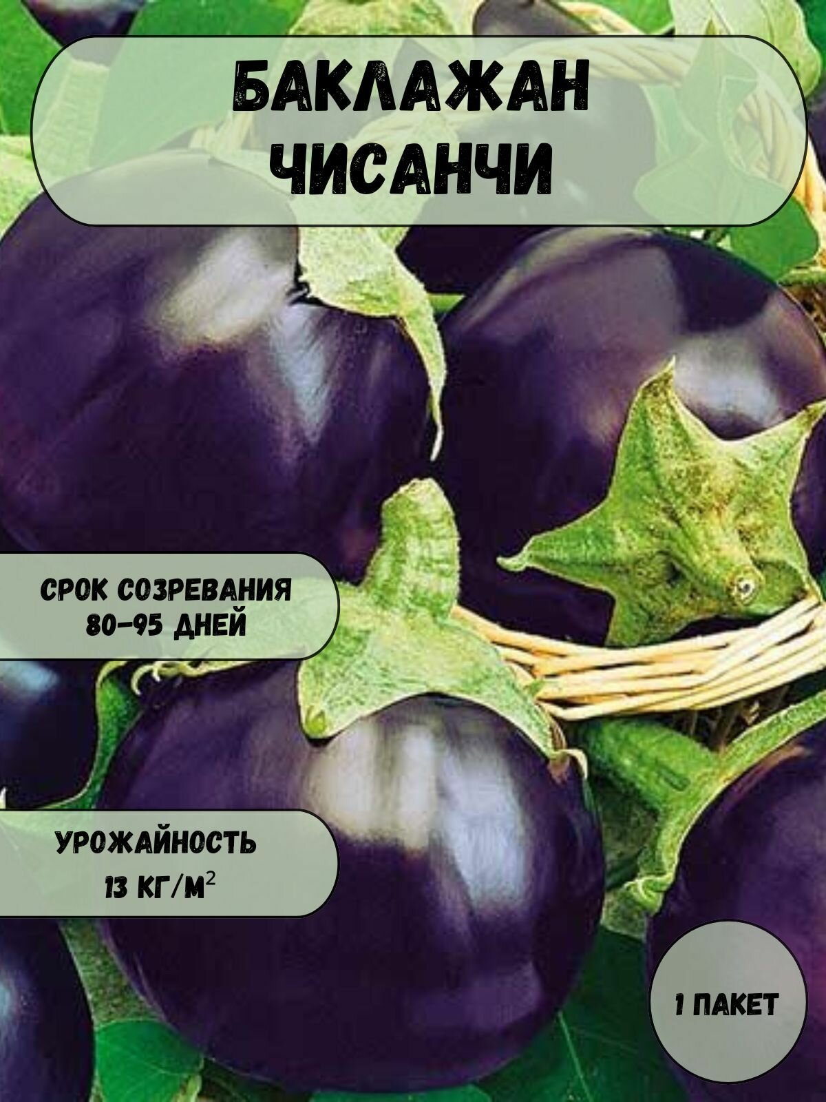 Баклажан Чисанчи семена 10 шт