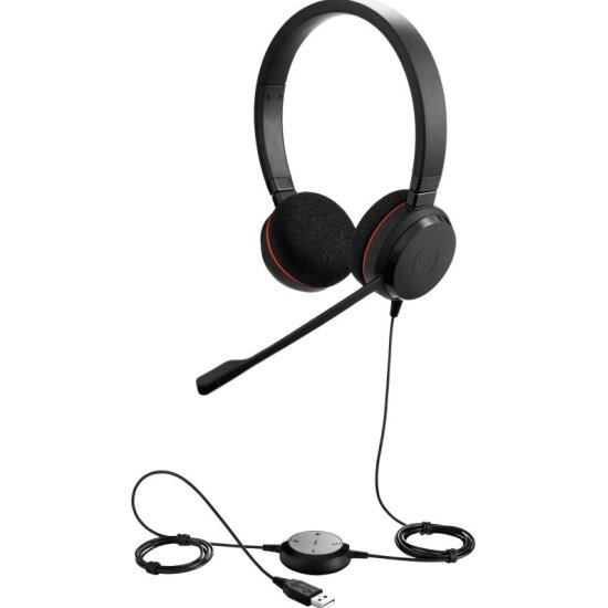 Гарнитура Jabra EVOLVE 20 MS Stereo (черный)