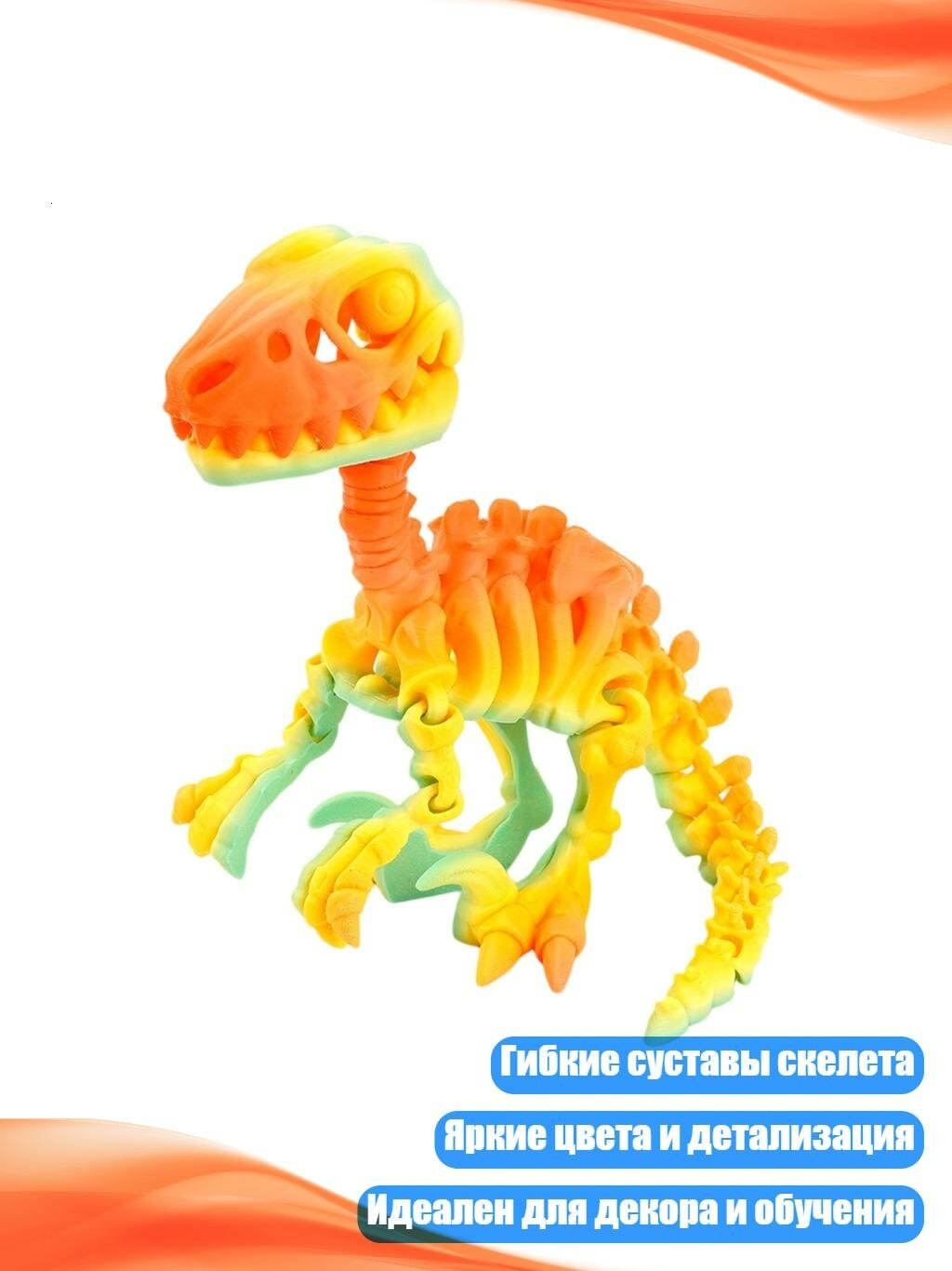 3D-модель скелета динозавра велоцираптора, мини - 8