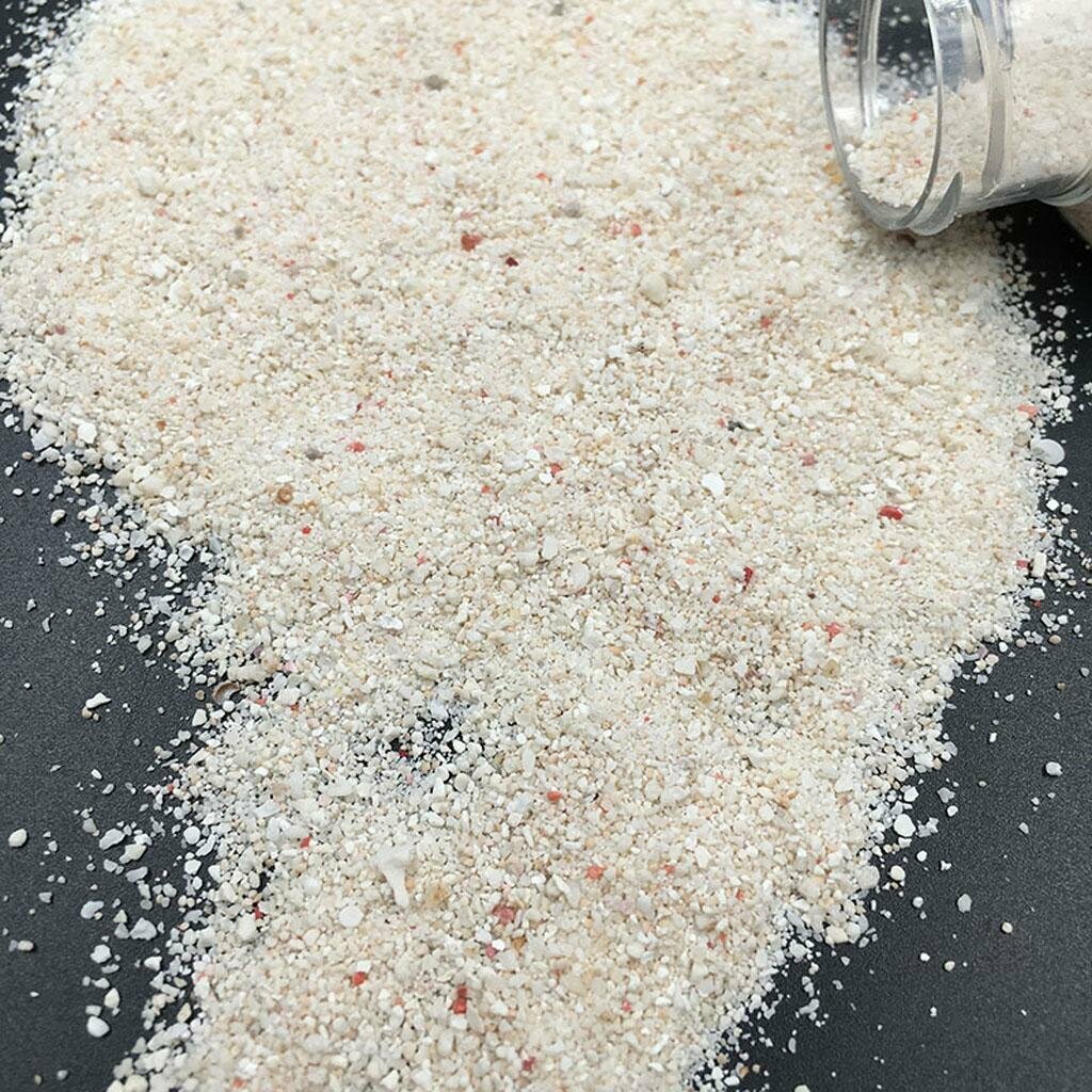 Морские ракушки и звёзды для пляжной вечеринки, Белый