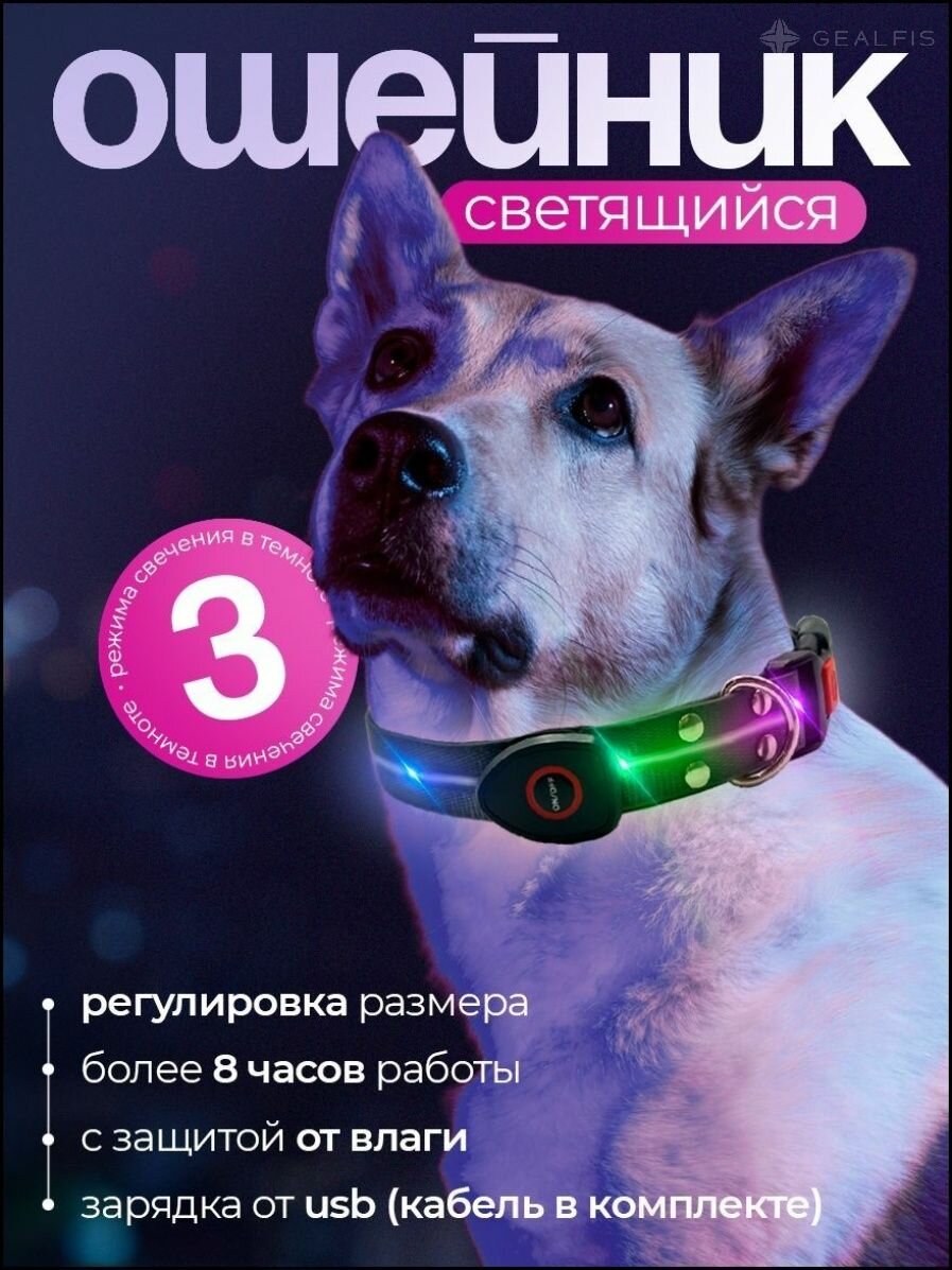 Светящийся ошейник для собак, светодиодный и водонепроницаемый