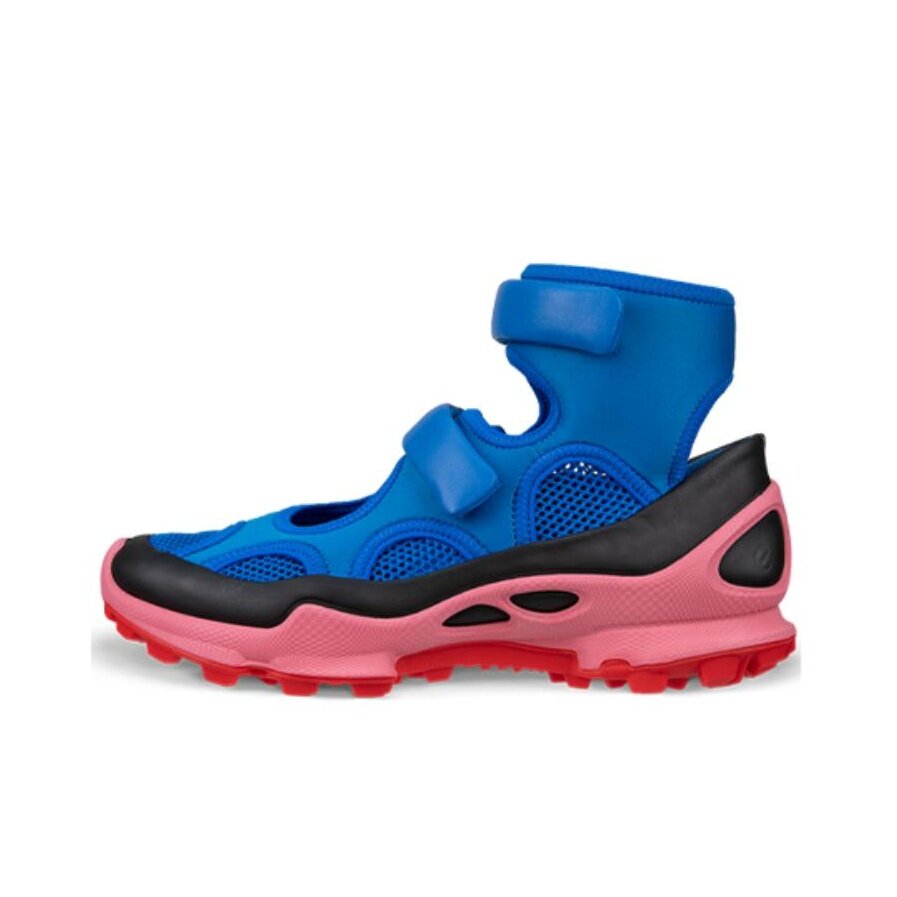 Кроссовки Biom C Trail