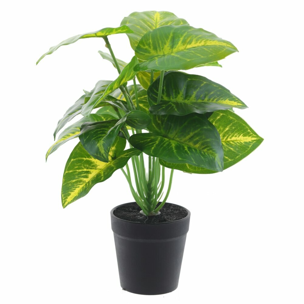 Цветочная композиция Монстера, 27х27х32 см KSM-814515