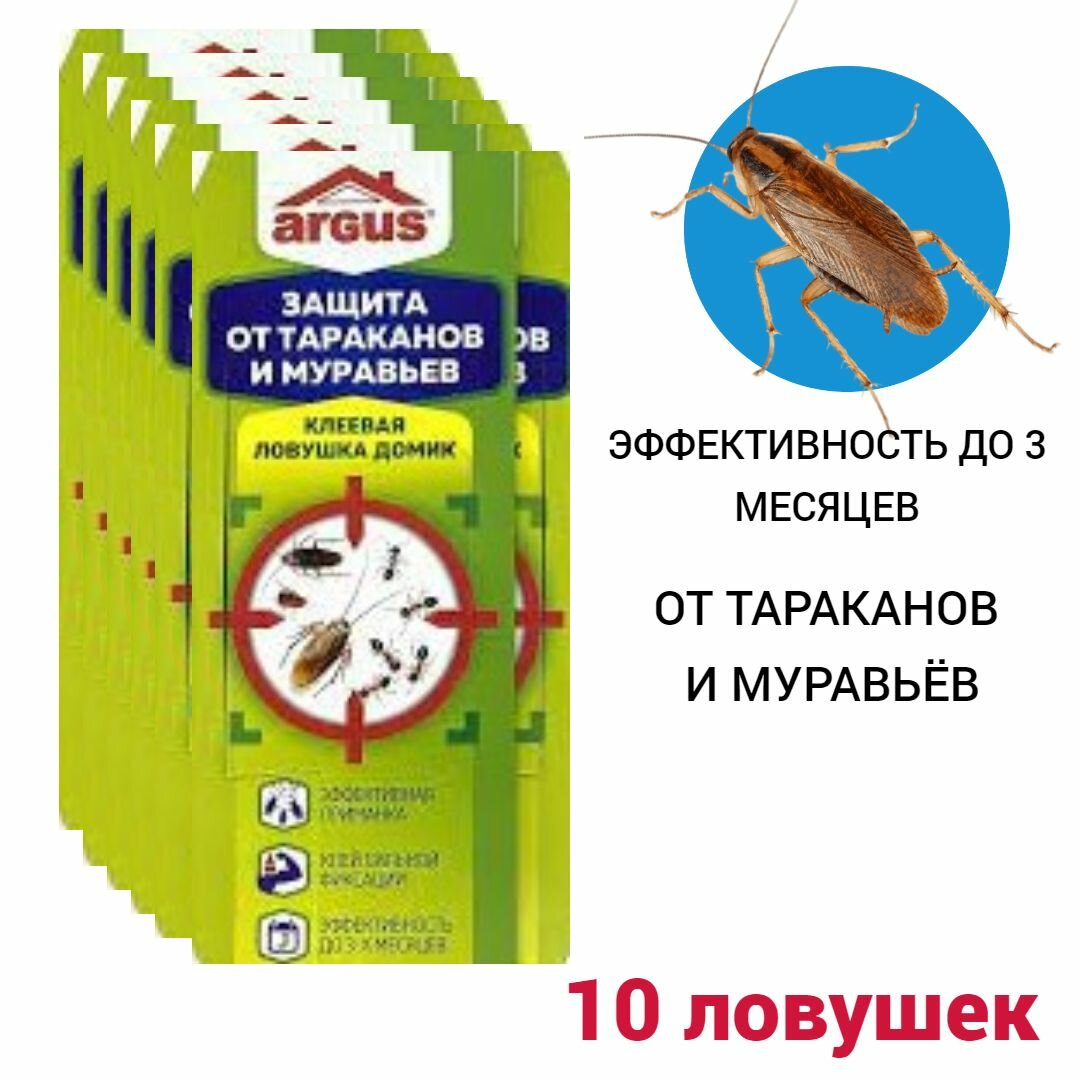 Клеевые ловушки Аргус от тараканов и муравьёв.
