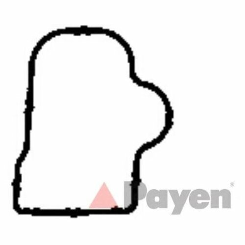 Прокладка впускного коллектора Payen JD5904