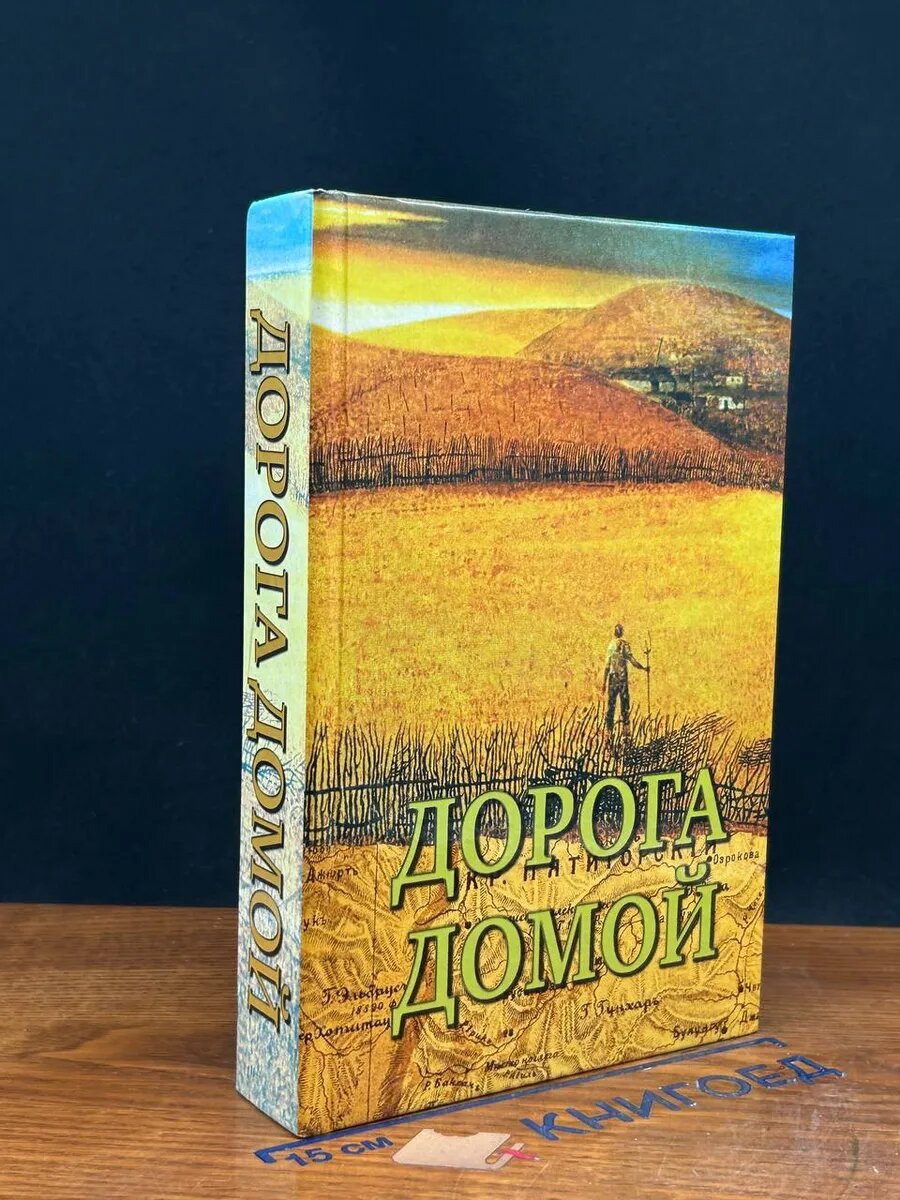 Книга. Дорога домой 2011 (2041056783859)