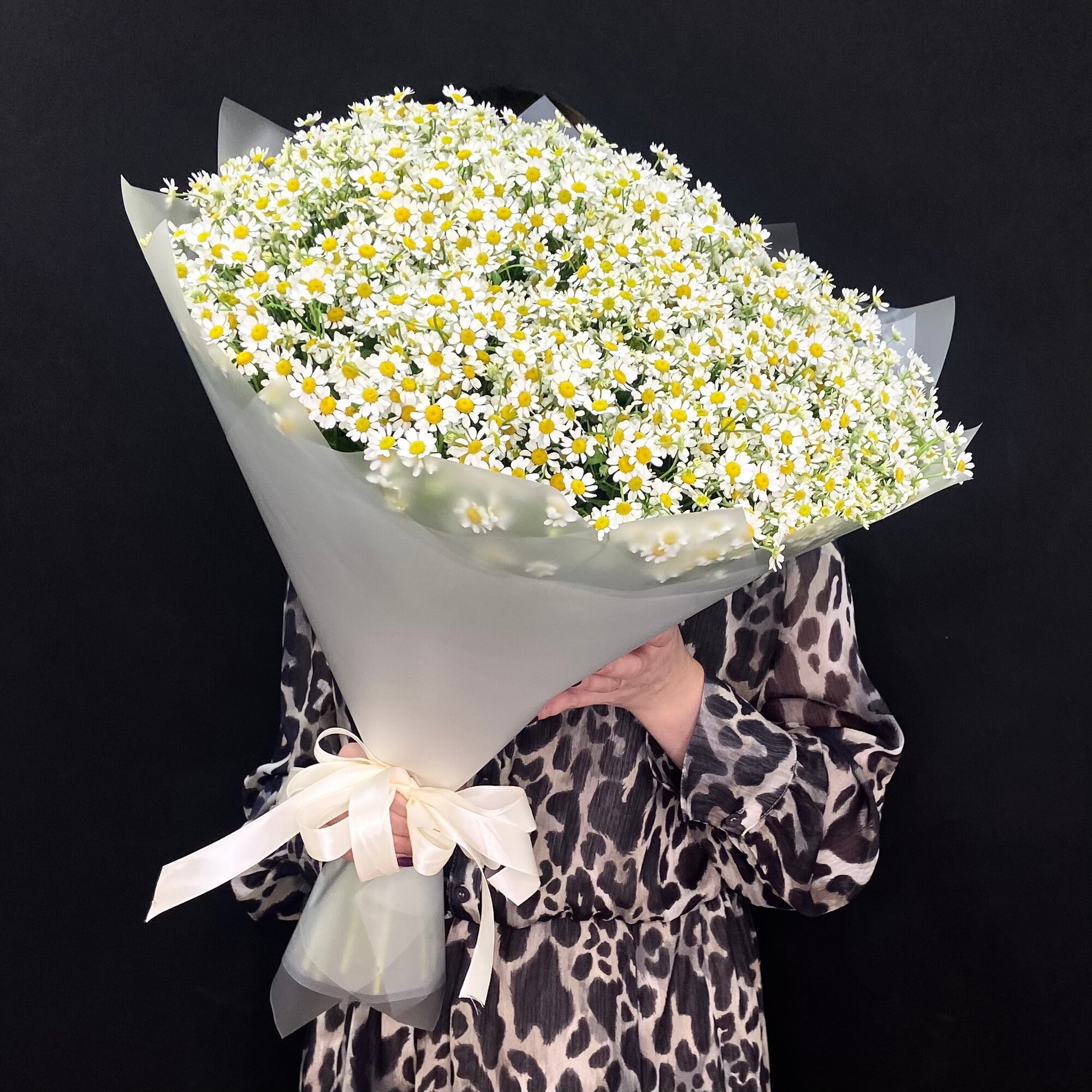 51 ромашка / Букет из 51 кустовой ромашки в авторской упаковке