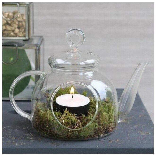 Декоративный флорариум Чайник The Lumiere 14 см, стекло, Ideas4Seasons, 28091