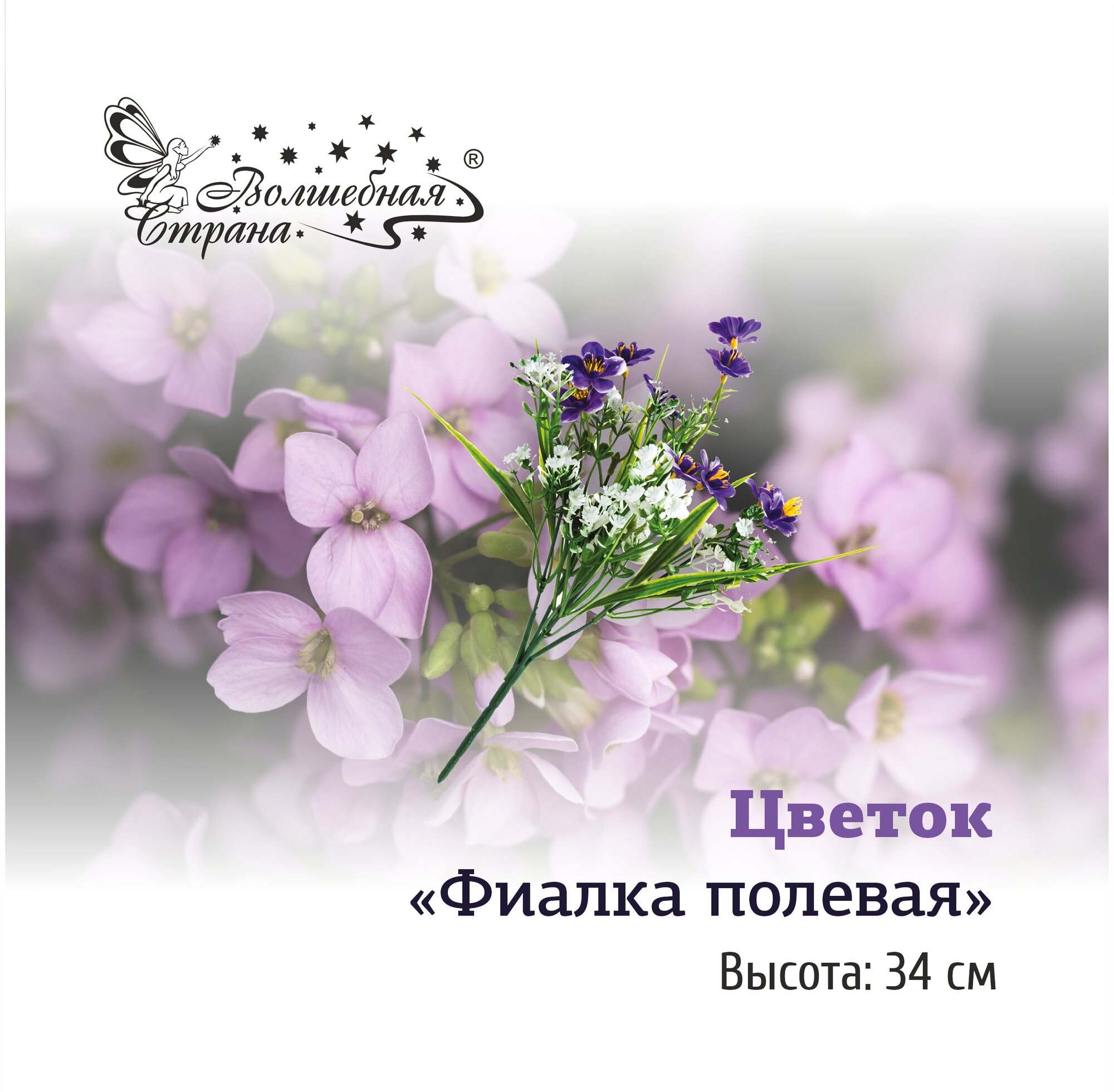 Цветок "Фиалка полевая"