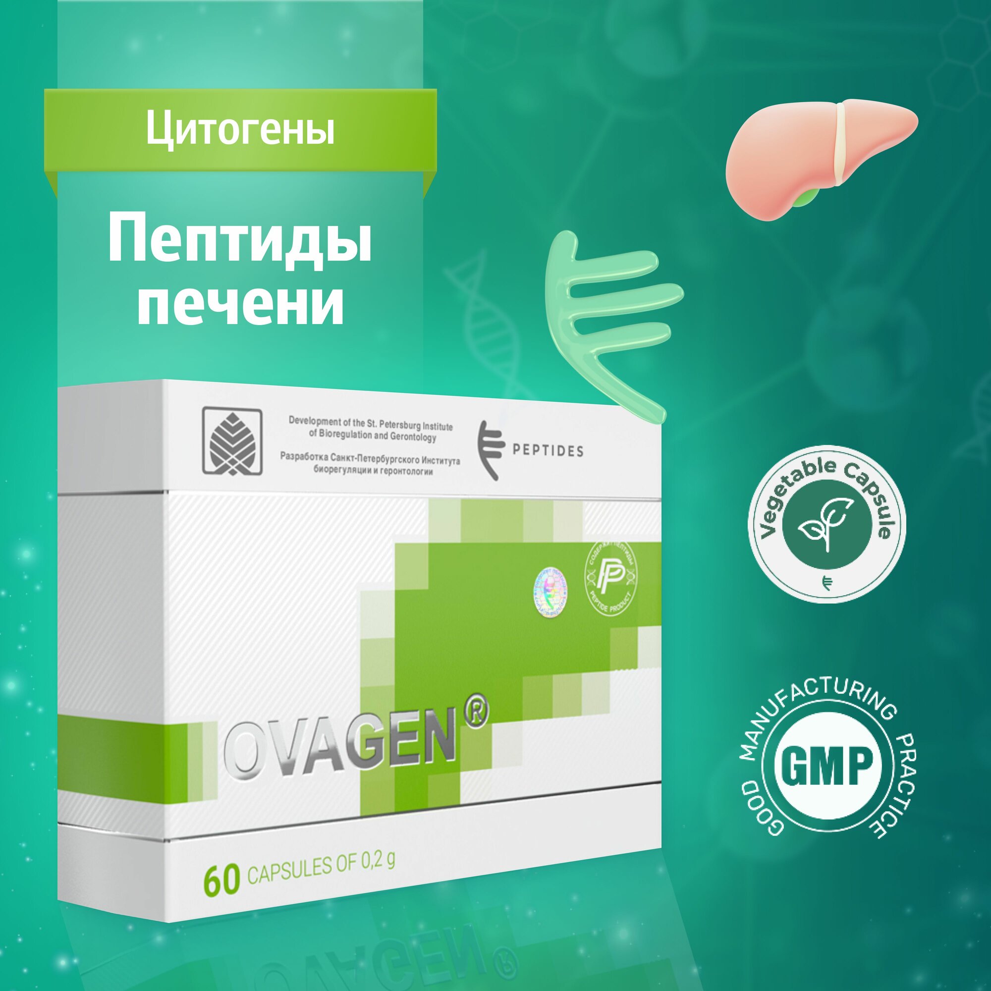 Оваген - пептиды Хавинсона для печени и ЖКТ (60 капсул) I восстановление функций и защита