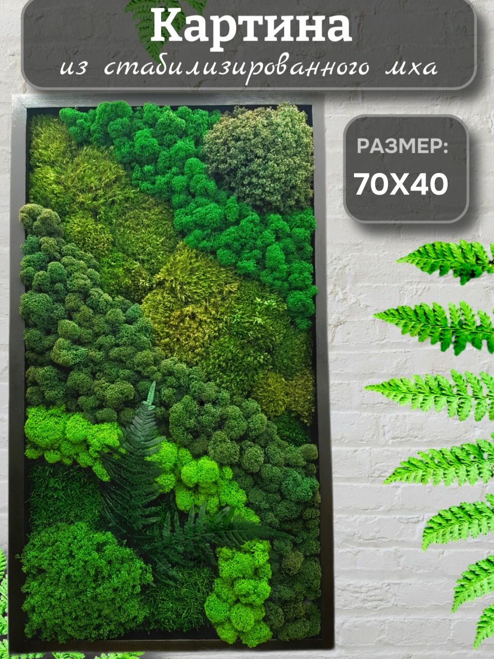Панно из стабилизированного мха "Папоротник", 70x40 см, в раме