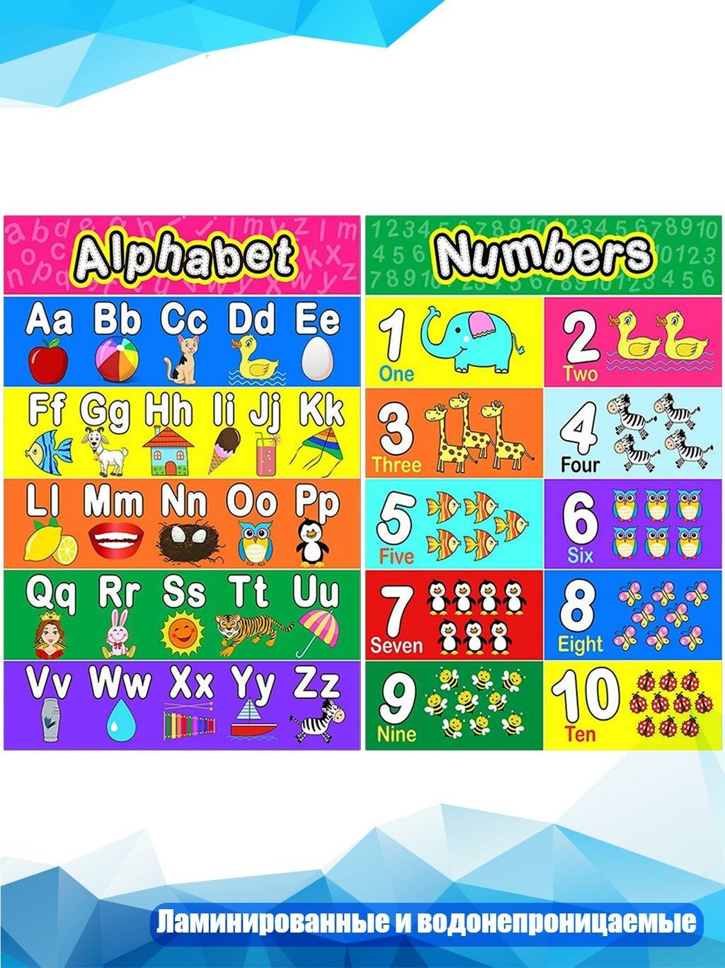 Набор из 2 ламинированных плакатов: алфавит и цифры