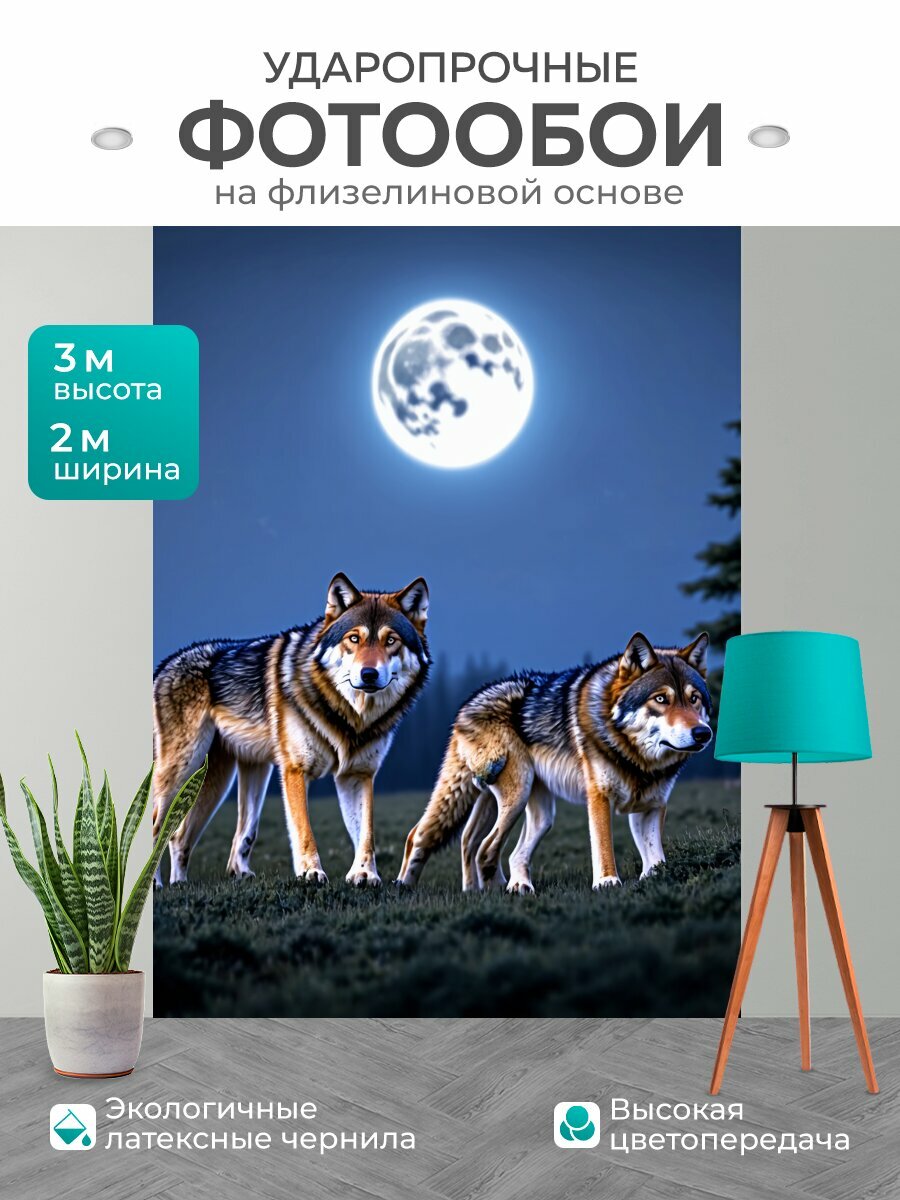 Фотообои моющиеся ударопрочные "Волки, охотящиеся на лунном свете" 200x300 см. флизелиновые на стену