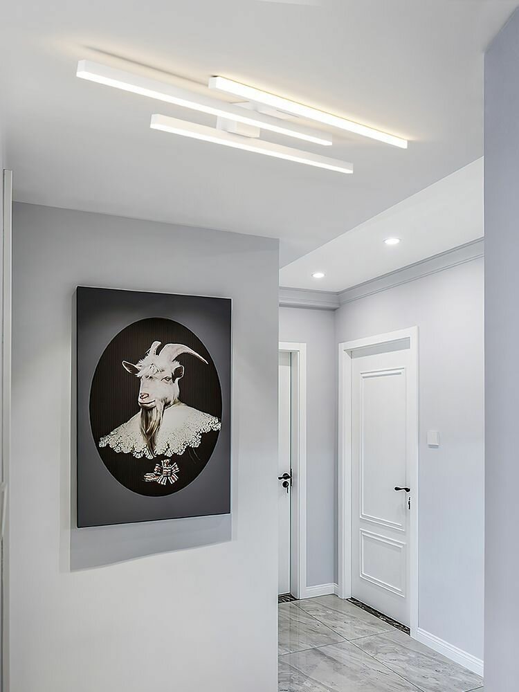 Люстра потолочная /RGB Потолочный светильник светодиодная ATABB B028-2 Современный креативный дизайн/С дистанционным управлением, плавная регулировка яркости