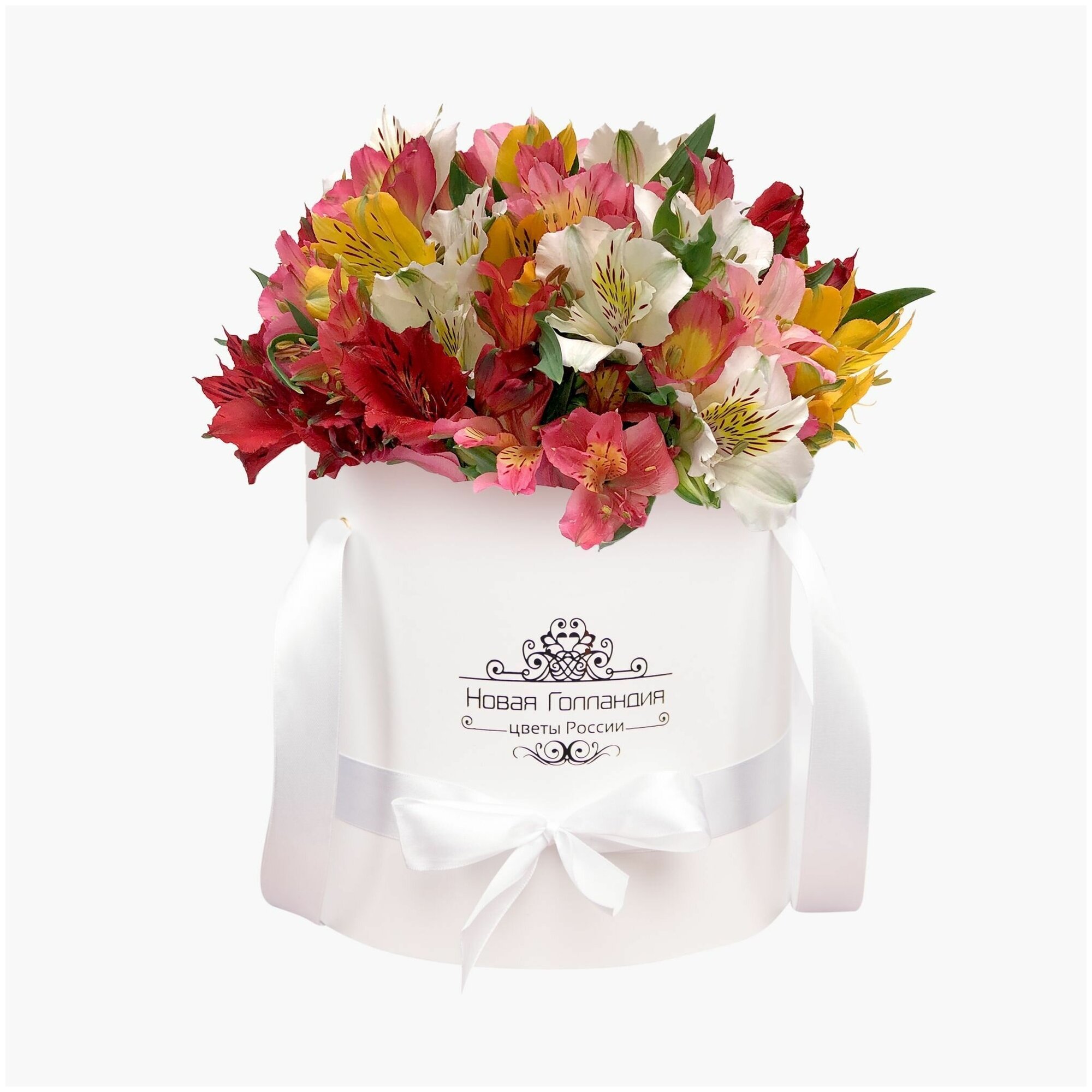 25 альстромерий микс в белой шляпной коробке №780