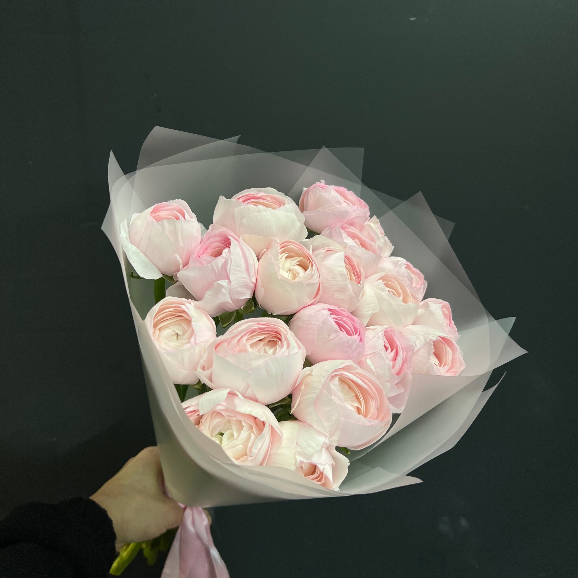 Букет "Ранункулюс", 19 штук, розовый, круглый, на стеблях, 40см, монобукет