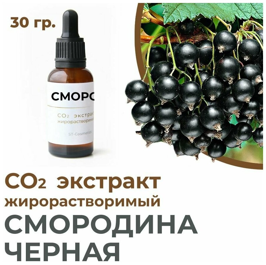 СО2 экстракт смородины черной, 30 гр.