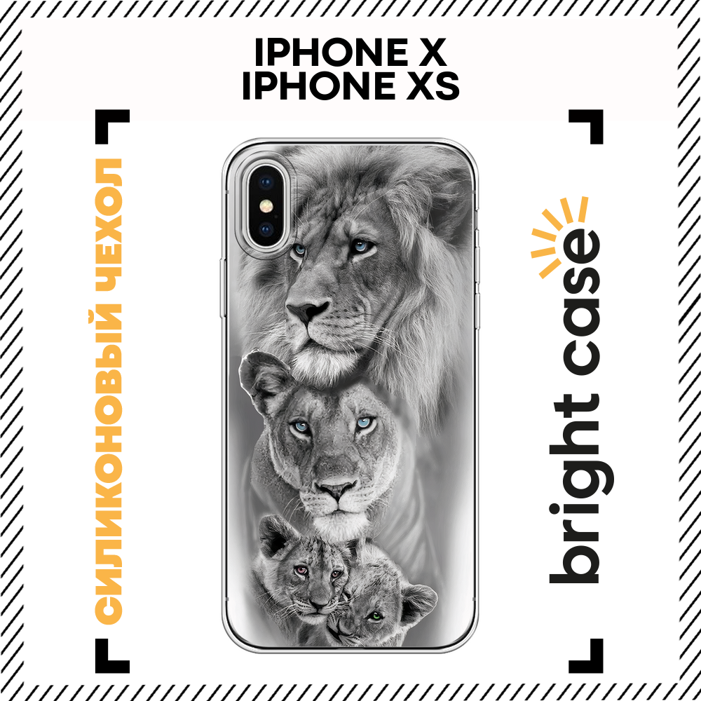 Чехол на Apple iPhone X/XS / Айфон X/XS с принтом Львиная семья
