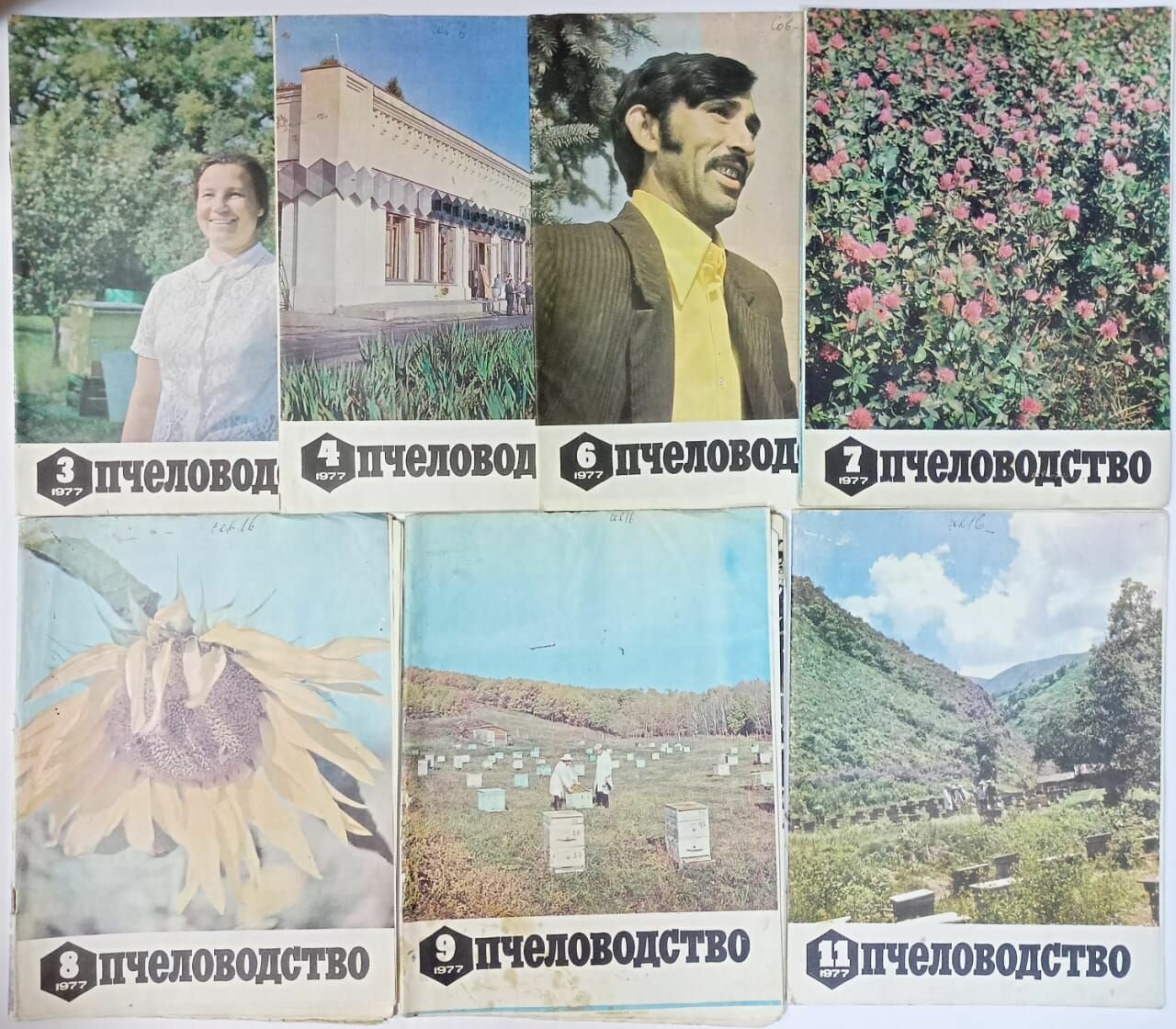 Журнал "Пчеловодство". Выпуск №3,4,6-9,11/1977 (Комплект из 7 журналов)