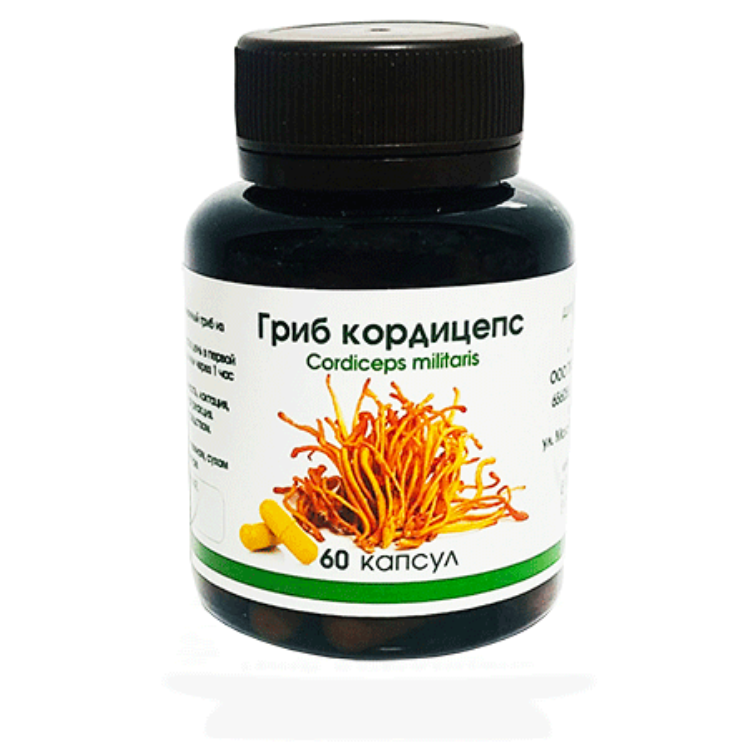 Кордицепс в капсулах 60 шт
