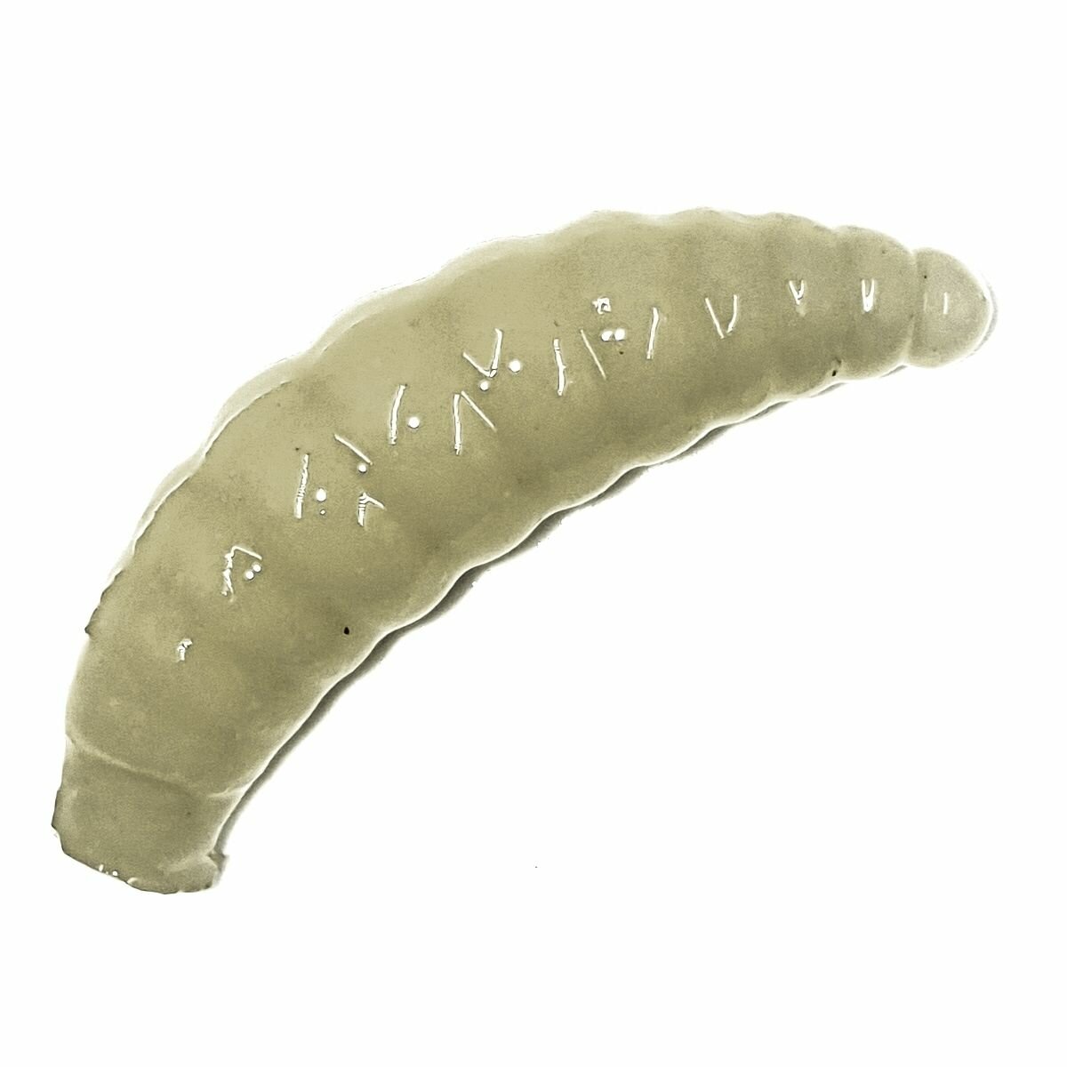 Силиконовые приманки на форель Cool Place Maggot тонущие 1.3, Пелетс светлый, сыр / Форелевые приманки Кул Плэйс