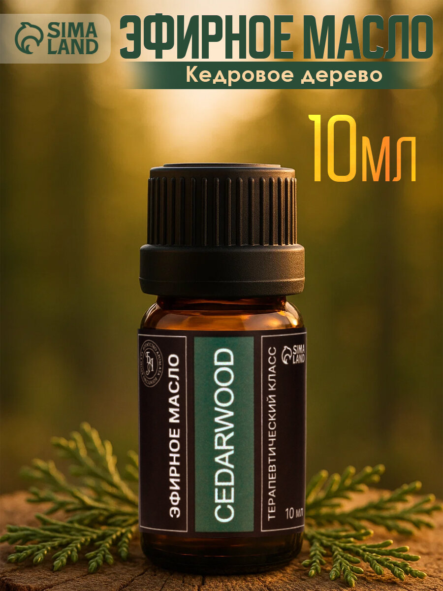 Эфирное масло «Кедровое дерево», 10 мл, в тубусе, древесный аромат