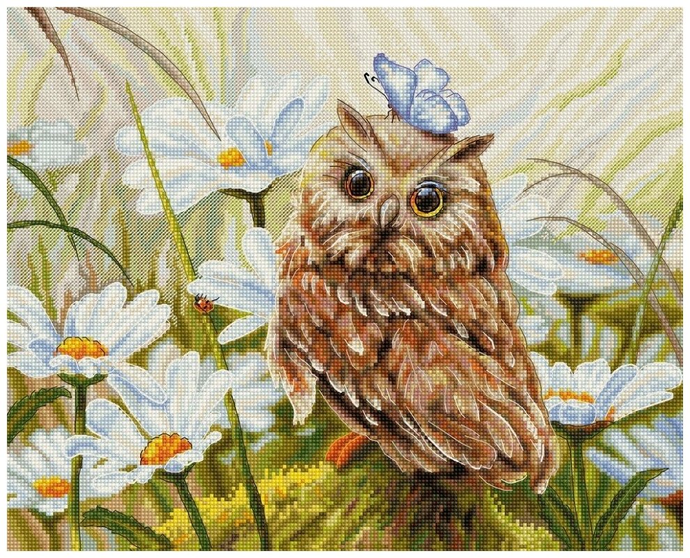 Набор для вышивания Luca-S #B7011 Везучая сова, Счетный крест, 30 х 24 см