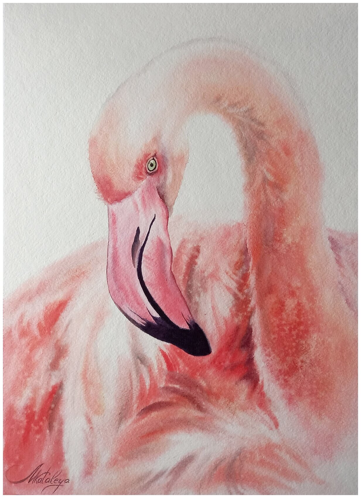 Картина акварелью Розовый фламинго - художник Ольга Матюнина, 40x30см