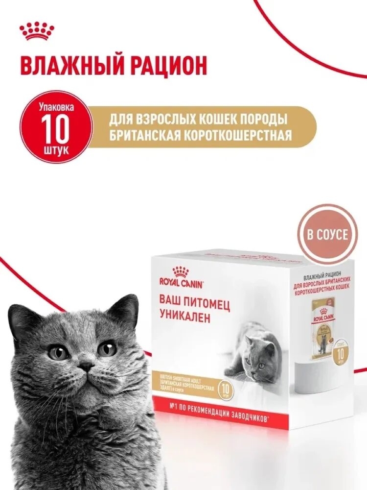 Влажный корм для кошек Royal Canin для британской короткошерстной породы, кусочки в соусе 10 шт по 85 г