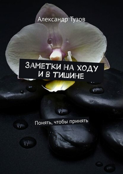 Заметки на ходу и в тишине. Понять, чтобы принять [Цифровая книга]