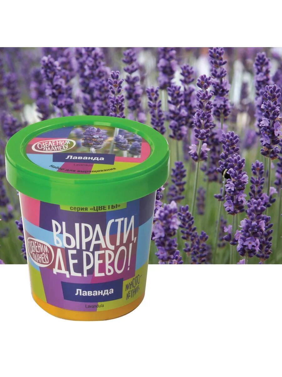 Набор для выращивания лаванды (банка, грунт, семена)