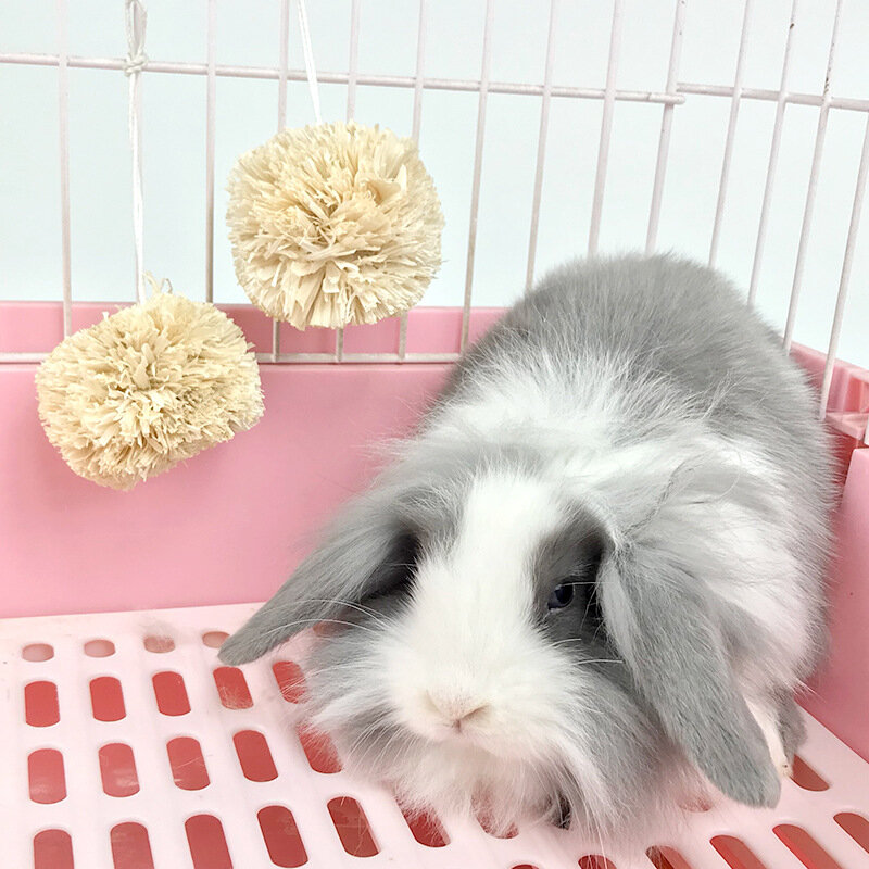 Жевательный шарик для грызунов из кукурузной шелухи | С натуральным ароматом, размеры S/L, розовый