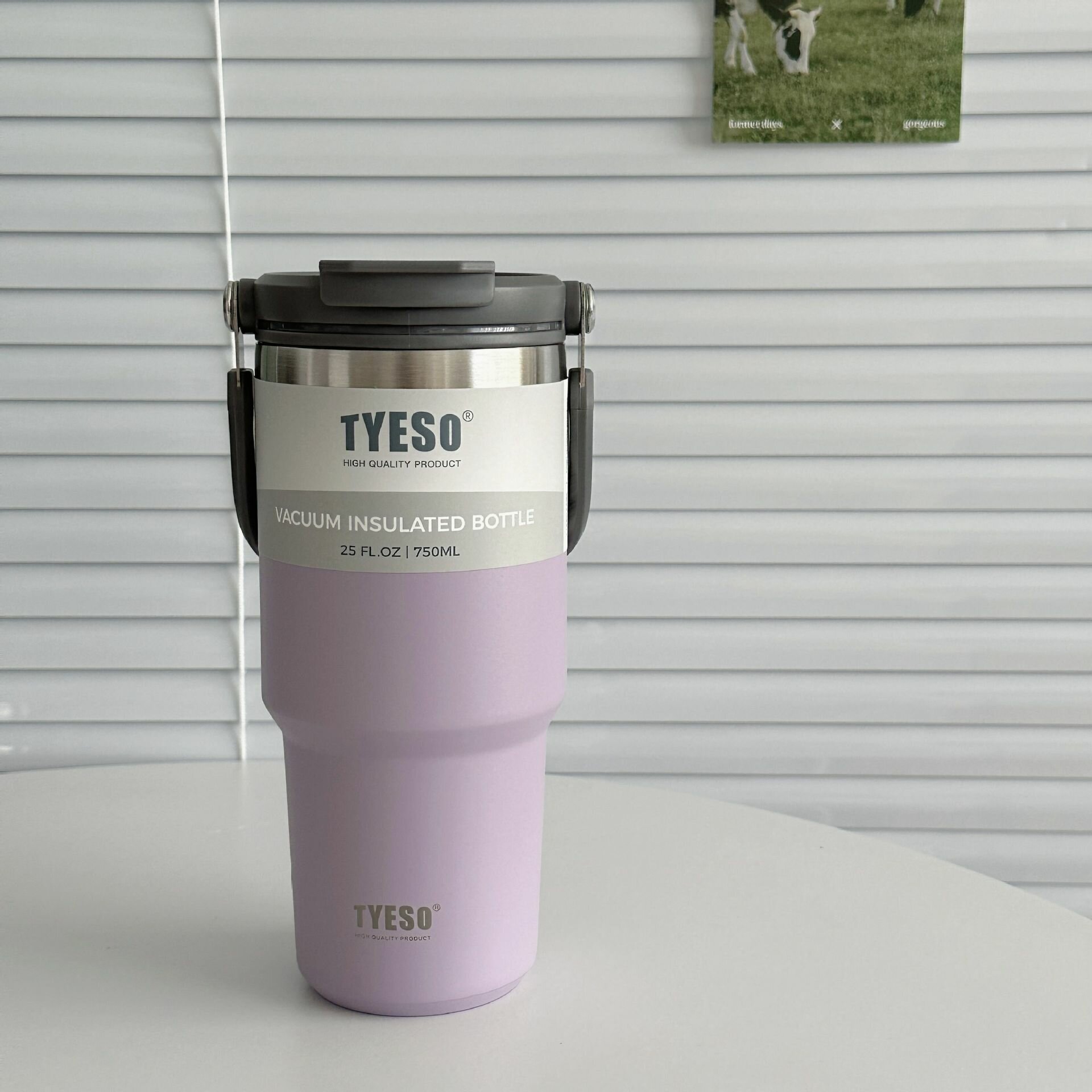 Термос-кружка Taishuo для женщин, большая емкость, из нержавеющей стали, кофейная кружка, автомобильная кружка для воды, стильная кружка для мужчин и женщин.