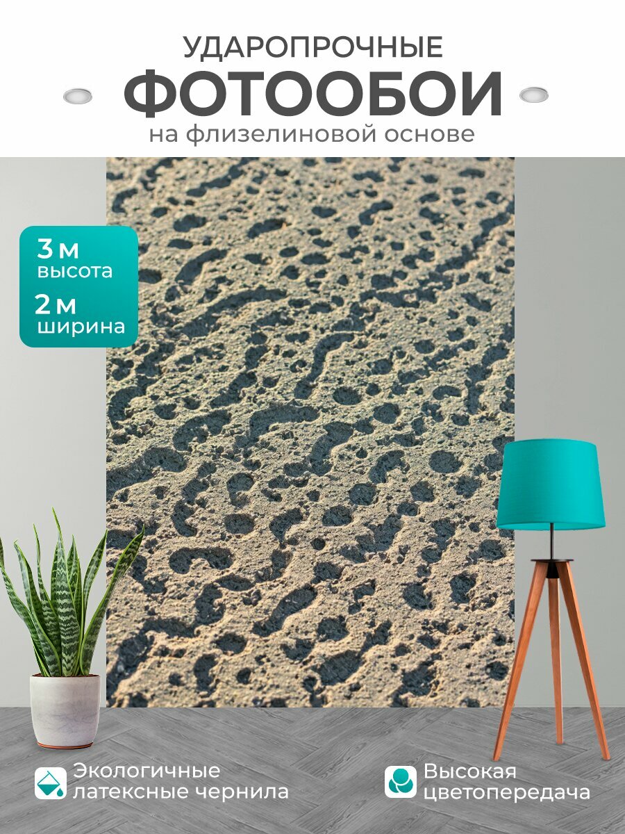 Фотообои моющиеся ударопрочные "Текстура следов уличной собаки" 200x300 см. флизелиновые на стену